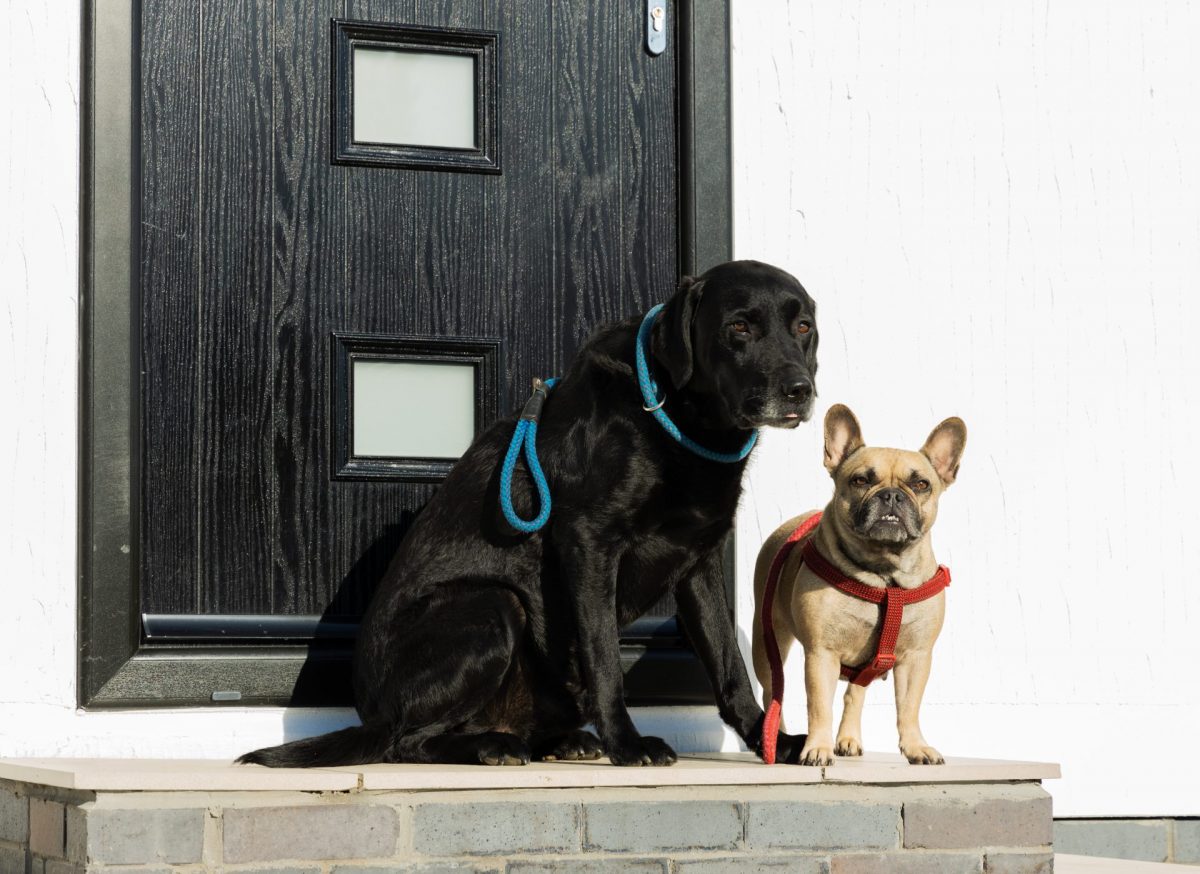 Lusso Homes are delighted with the success of their ‘Flagship’ Tye’s ...